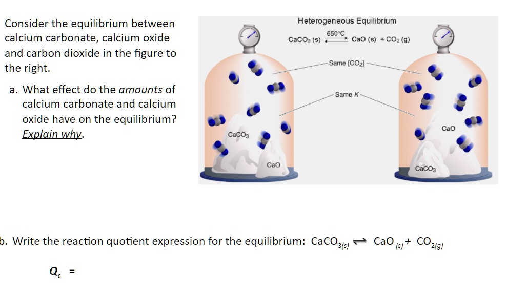 SOLVED: Consider the equilibrium between calcium carbonate, calcium oxide and carbon dioxide in ...