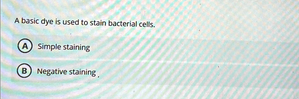 SOLVED: A basic dye is used to stain bacterial cells. Simple staining ...
