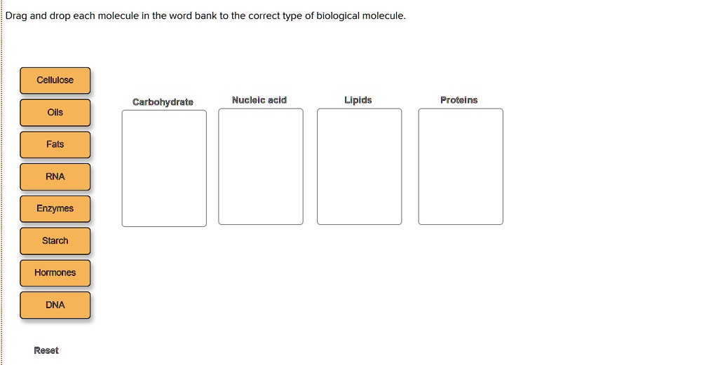 drag and drop each molecule in the word bank to the correct type of ...