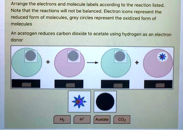 Arrange the electrons and molecule labels according to the...