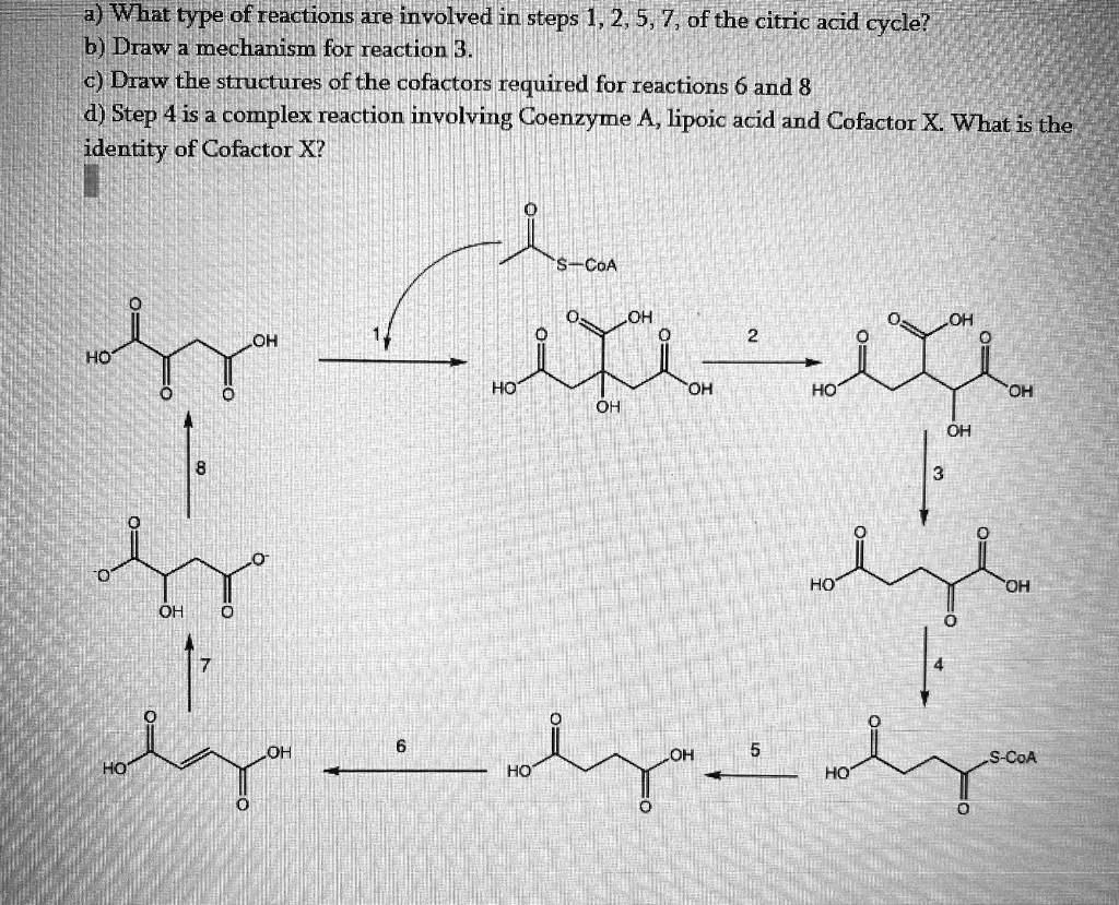 SOLVED: a) What type of reactions are involved in steps 1, 2, 5, 7 of ...
