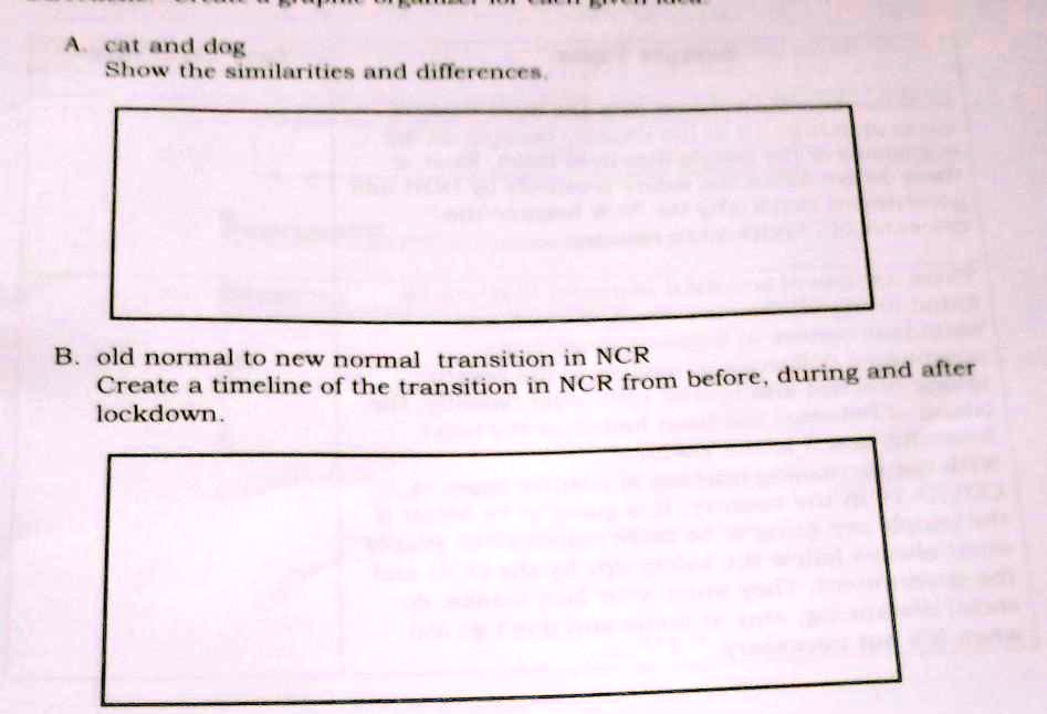 a cat and dogshow the similarities and differencesb old normal to new ...