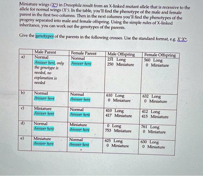 SOLVED:Miniature wings (XO) in Drosophila result from X-linked mutant ...