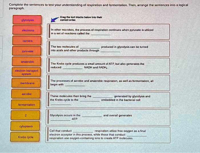 Complete the sentences to test your understanding of respiration and ...
