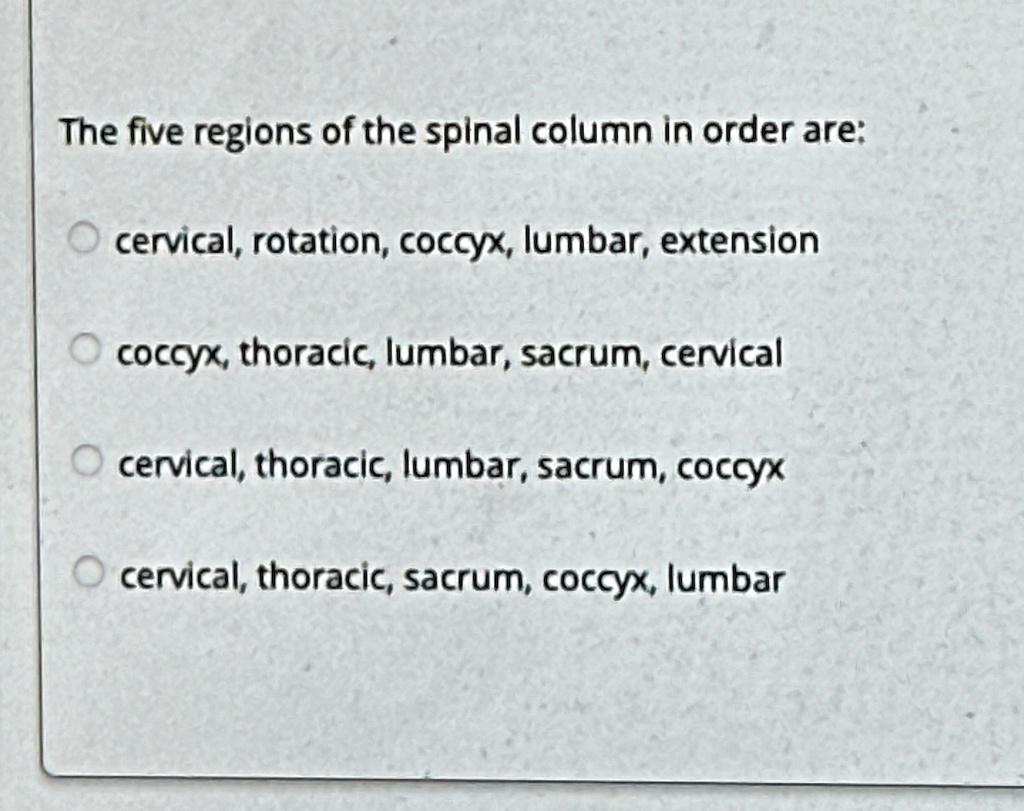 the five regions of the spinal column in order are cervical rotation coccyx lumbar extension ...