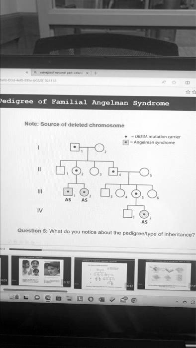 SOLVED: Texts: What types of questions does this pedigree raise ...