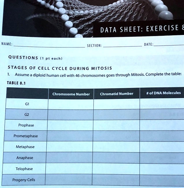 Text: Data Sheet: Exercise 1 Name: Section: Date: Questions (pt each ...