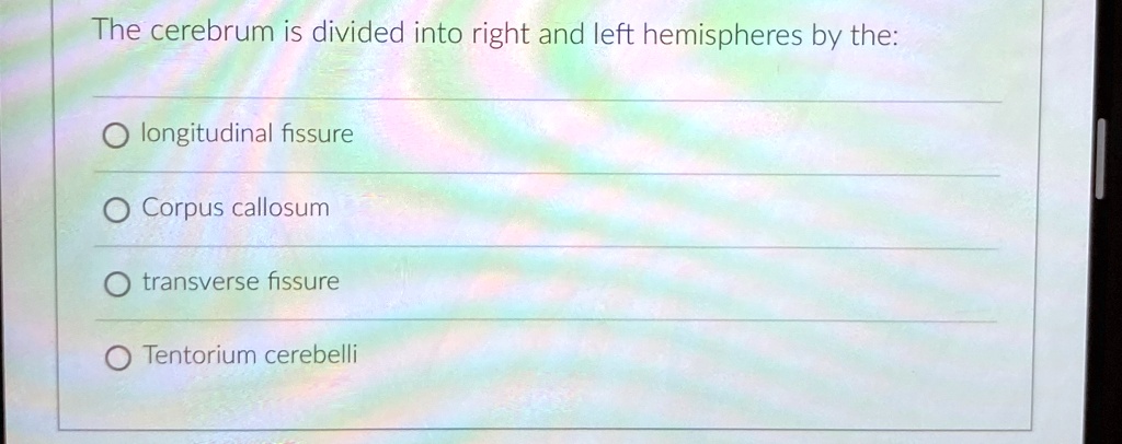 the cerebrum is divided into right and left hemispheres by the ...