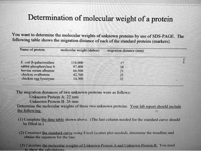 Determination of molecular weight of a protein You want to determine the molecular weights of ...