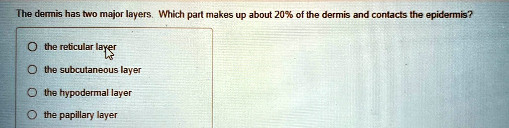 The dermis has two major layers. Which part makes up about 20% of the ...