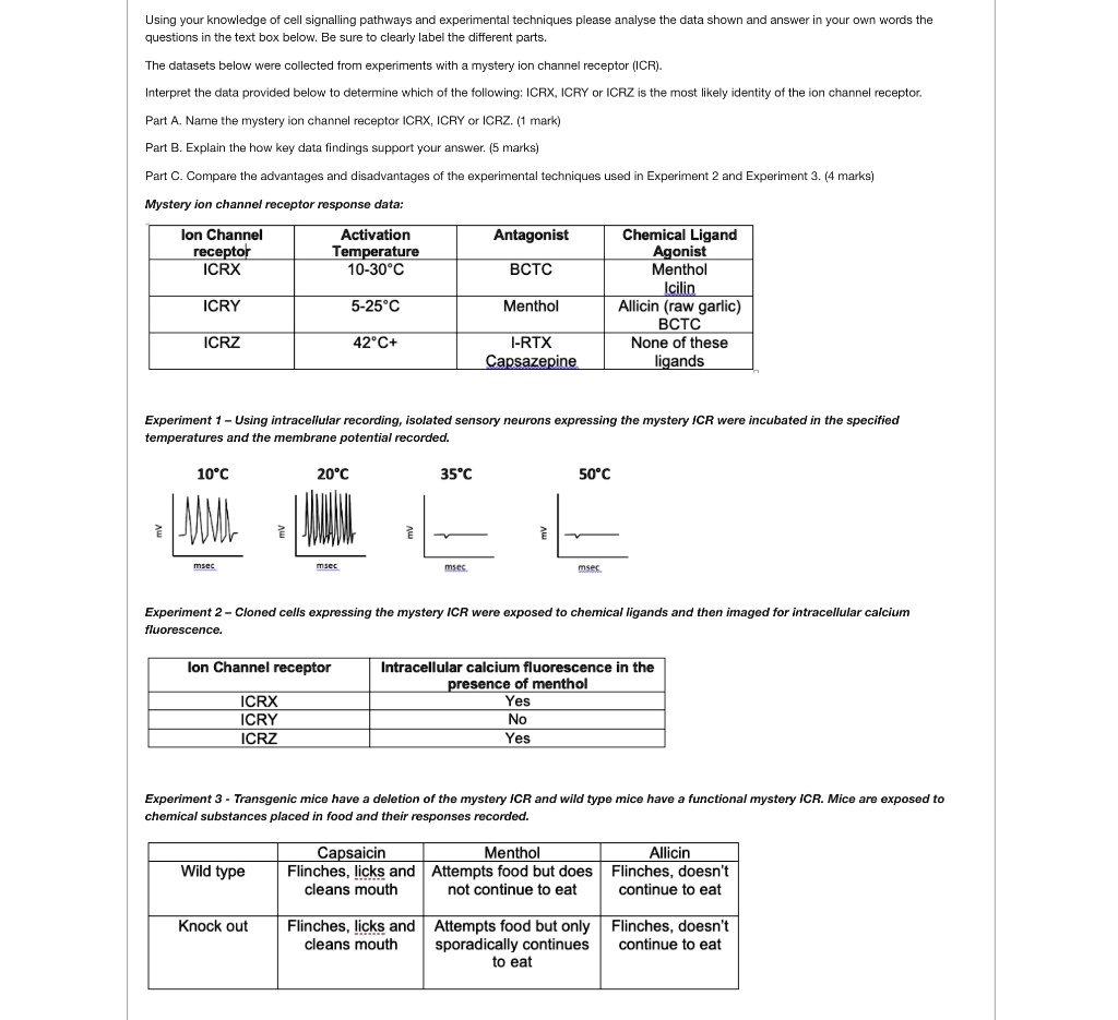 SOLVED: Using your knowledge of cell signaling pathways and ...