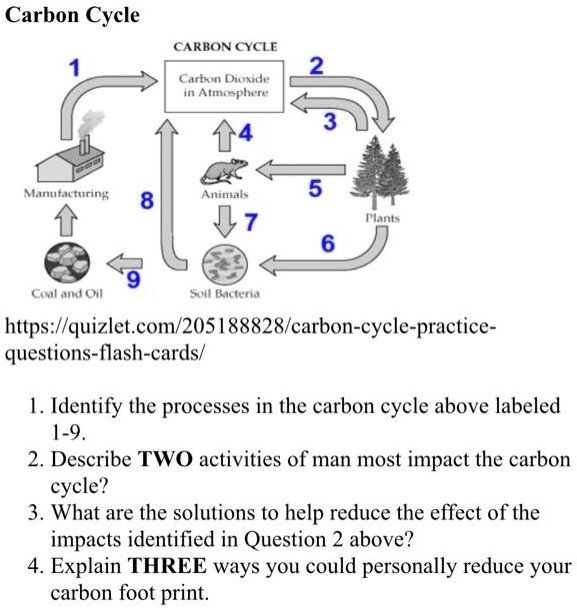 SOLVED: Carbon Cycle CARBON CYCLE Carbon Dioxide in Atmosphere ...