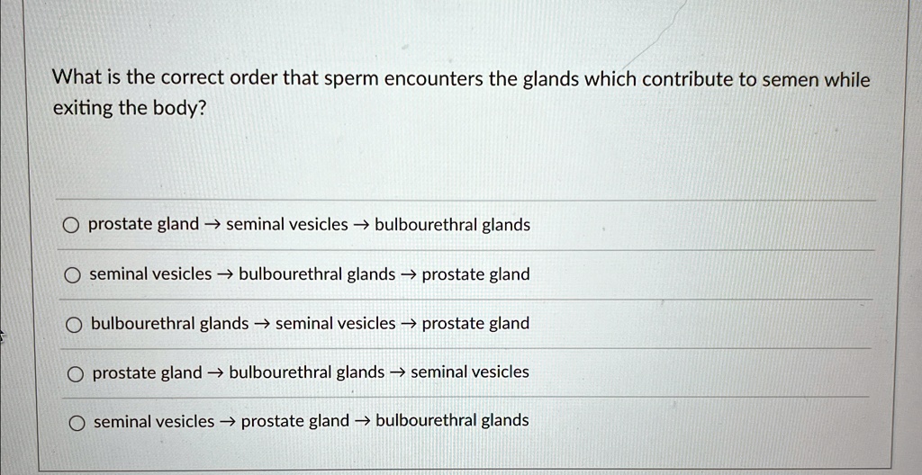 What is the correct order that sperm encounters the glands which ...