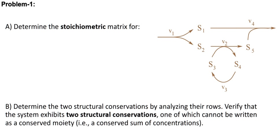 Problem-1: A) Determine the stoichiometric matrix for: B) Determine the ...