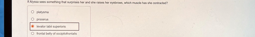 if alyssa sees something that surprises her and she raises her eyebrows ...