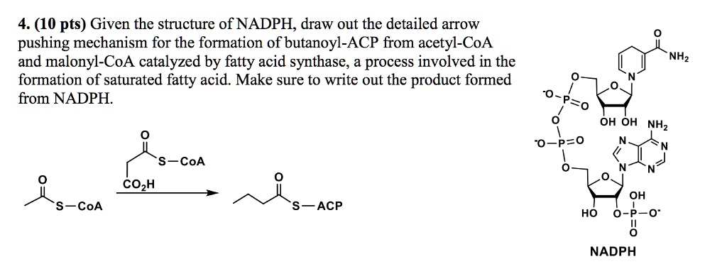 SOLVED: Given the structure of NADPH, draw out the detailed arrow ...