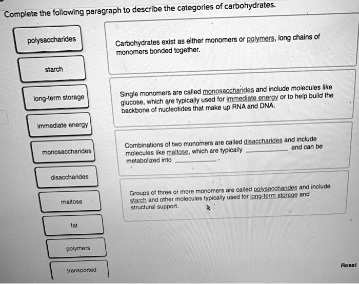Complete the following paragraph to describe the categories...