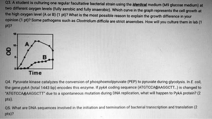 SOLVED: 03 A student Is culturing one regular facultative bacterial ...