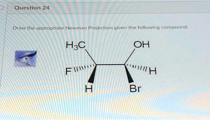 SOLVED: Question 24 Draw the appropriate Newman Projection given the ... SOLVED: Question 24 Draw the appropriate Newman Projection given the ...