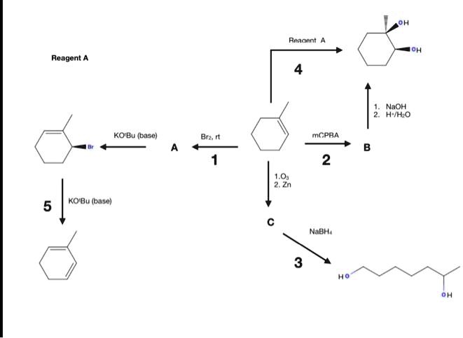help1 give the structures of compounds a b and c2 give the compound ...