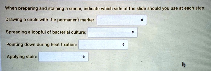 SOLVED: When preparing and staining a smear, indicate which side of the ...