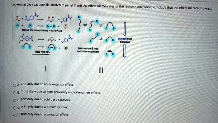 SOLVED: Looking at the reactions Illustrated panel Il and Haer the ...