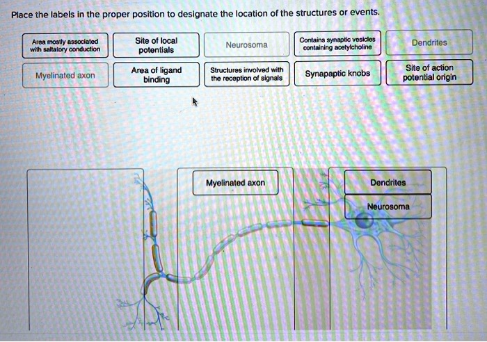 place the labels in the proper position to designate the location of ...