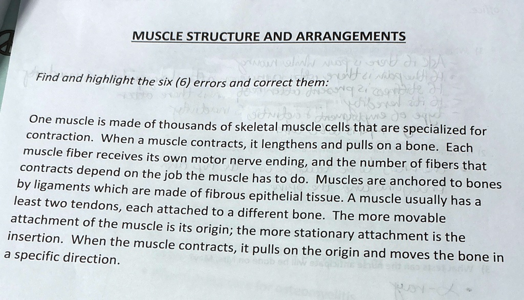 [GET ANSWER] muscle structure and arrangements find and highlight the ...
