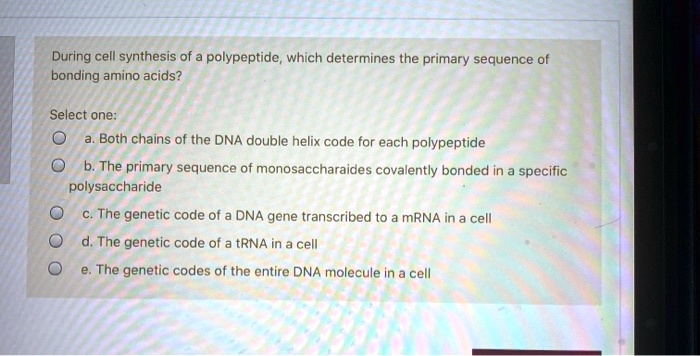 during cell synthesis of polypeptide which determines the primary ...