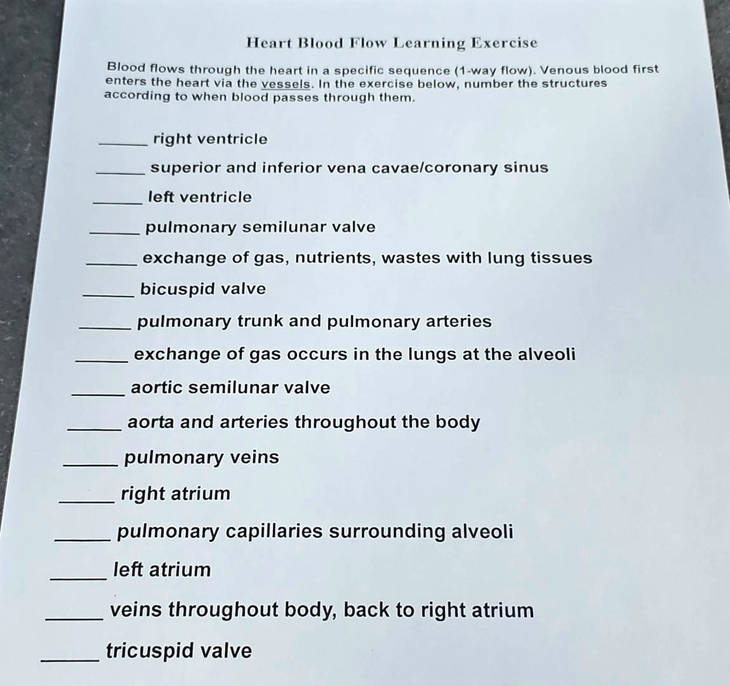 Heart Blood Flow Learning Exercise Blood flows through the heart in a ...