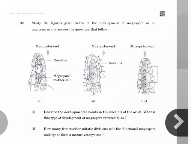(b) Study the figures given below of the development of megaspore in an ...