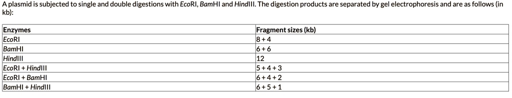 SOLVED: Draw the restriction map of this plasmid Aplasmid is subjected to single and double ...