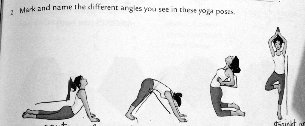 SOLVED: 'Mark and name the different angles Mark and name the different ...