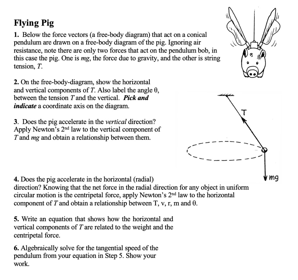 flying pig below the force vectors a free body diagram that act on a ...