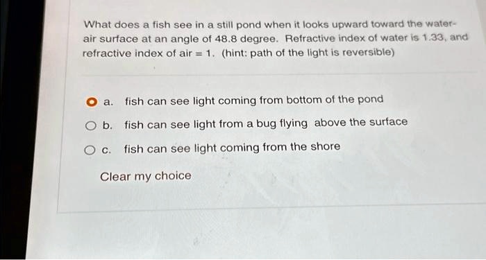 What does a fish see in a still pond when it looks upward toward the ...