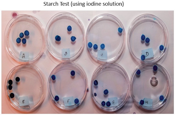 SOLVED: Starch Test (using iodine solution)