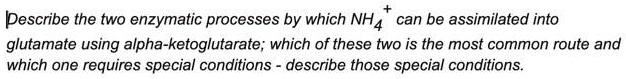 SOLVED: pescribe the two enzymatic processes by which NH4 can be ...
