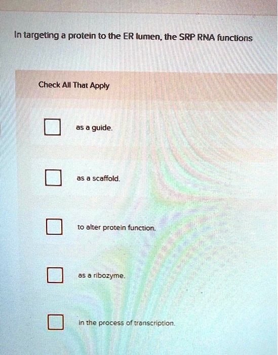 in targeting protein to the er lumen the srp rna functions check ail ...