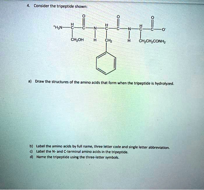 SOLVED: Consider the tripeptide shown: CH3OH CH3 CH2CH2CONH2 Draw the ...