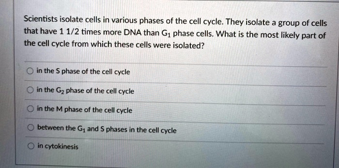 Scientists isolate cells in various phases of the cell...
