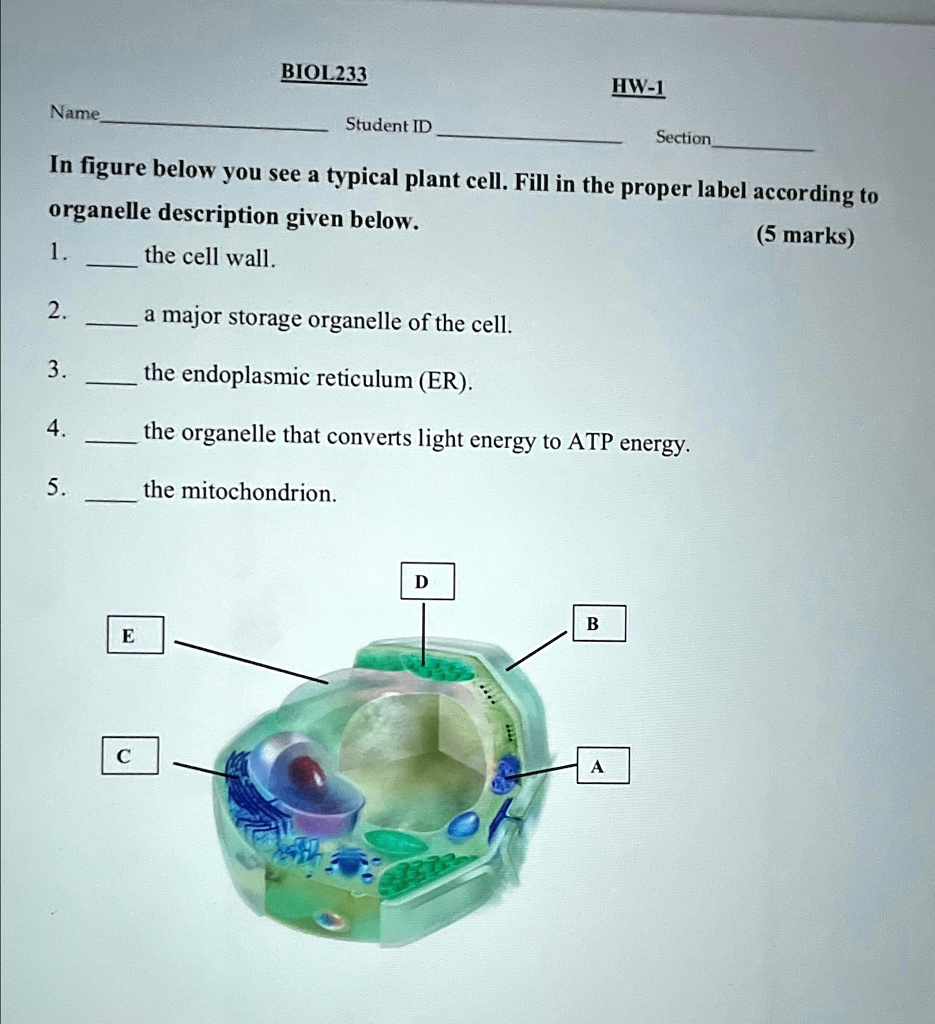 biol233 hw 1 nam student id sectio in figure below you see a typical ...