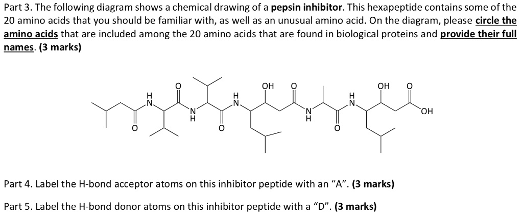Part 3. The following diagram shows a chemical drawing of a pepsin ...