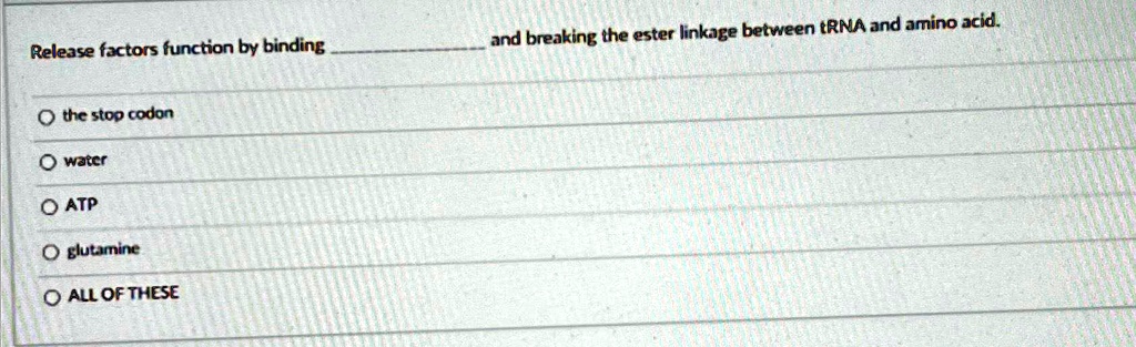 Release factors function by binding and breaking the ester linkage ...