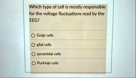 which type of cell is mostly responsible for the voltage fluctuations ...