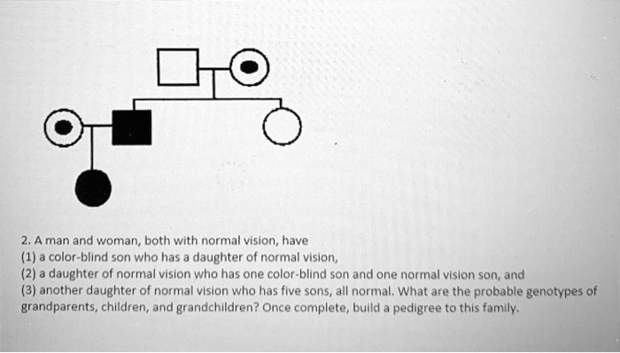 SOLVED:2. A man and woman; both th normal vision; have color-blind son ...