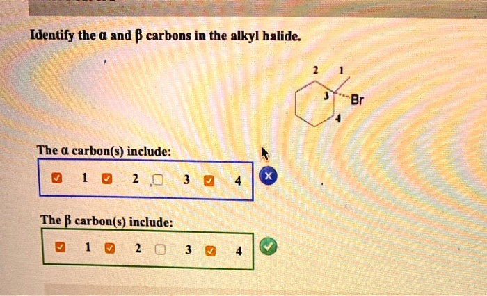 SOLVED: Identify the and B carbons in the alkyl halide Br The carbon(s ...
