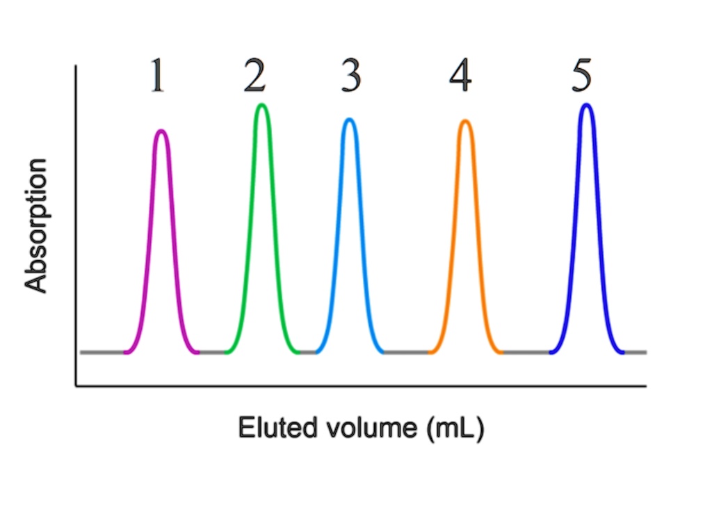 SOLVED: A mixture of proteins (A 68 kDa; B 15 kDa; C 84 kDa; D 52 kDa ...