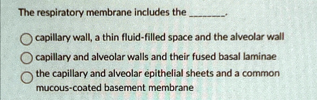 the respiratory membrane includes the capillary wall a thin fluid ...