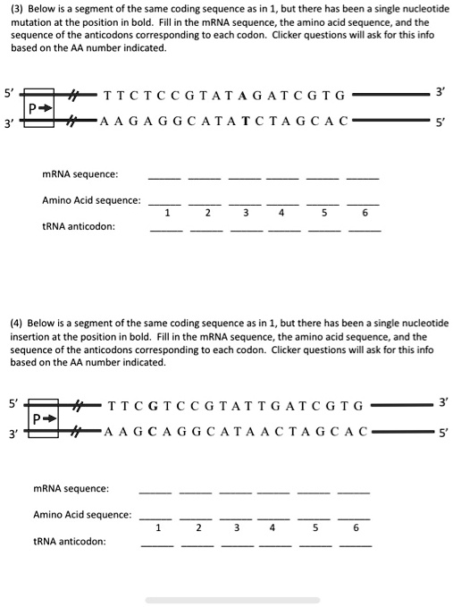 Solved Below Is A Segment Of The Same Coding Sequence As In But There