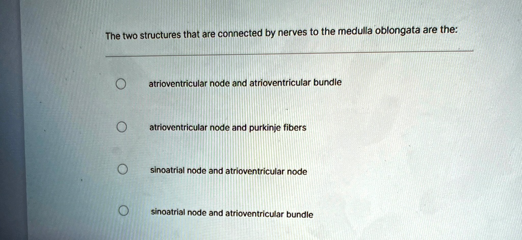 The two structures that are connected by nerves to the medulla ...